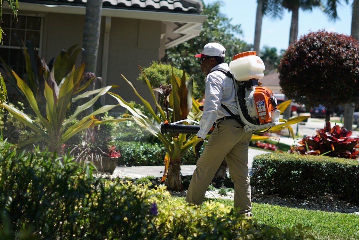How to Get Rid of Mosquitoes in South Florida - Gregory's Pest Control